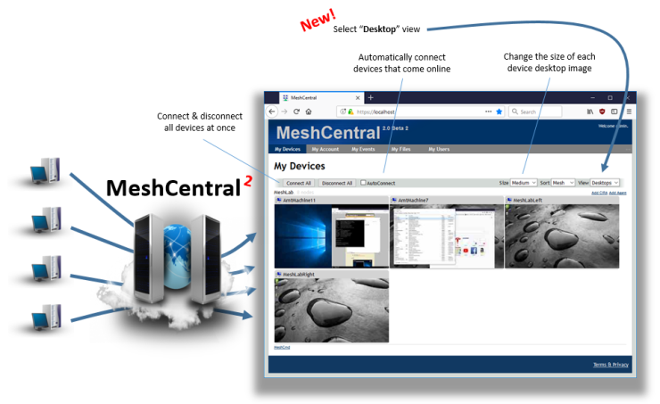 Multi-computer desktop viewer
