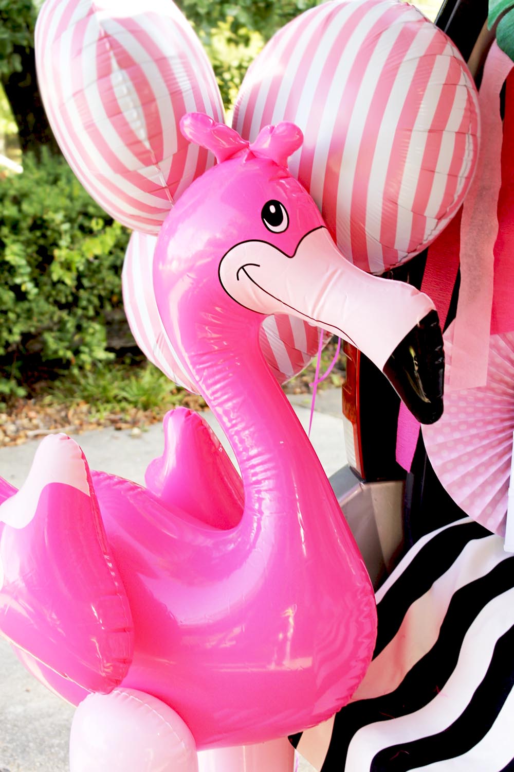 Cupcake Wishes & Birthday Dreams: Flamingo Trunk or Treat