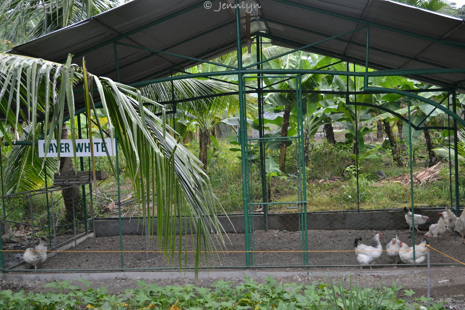 Destination Philippines: The Farm: Garin Farm, San Joaquin, Iloilo