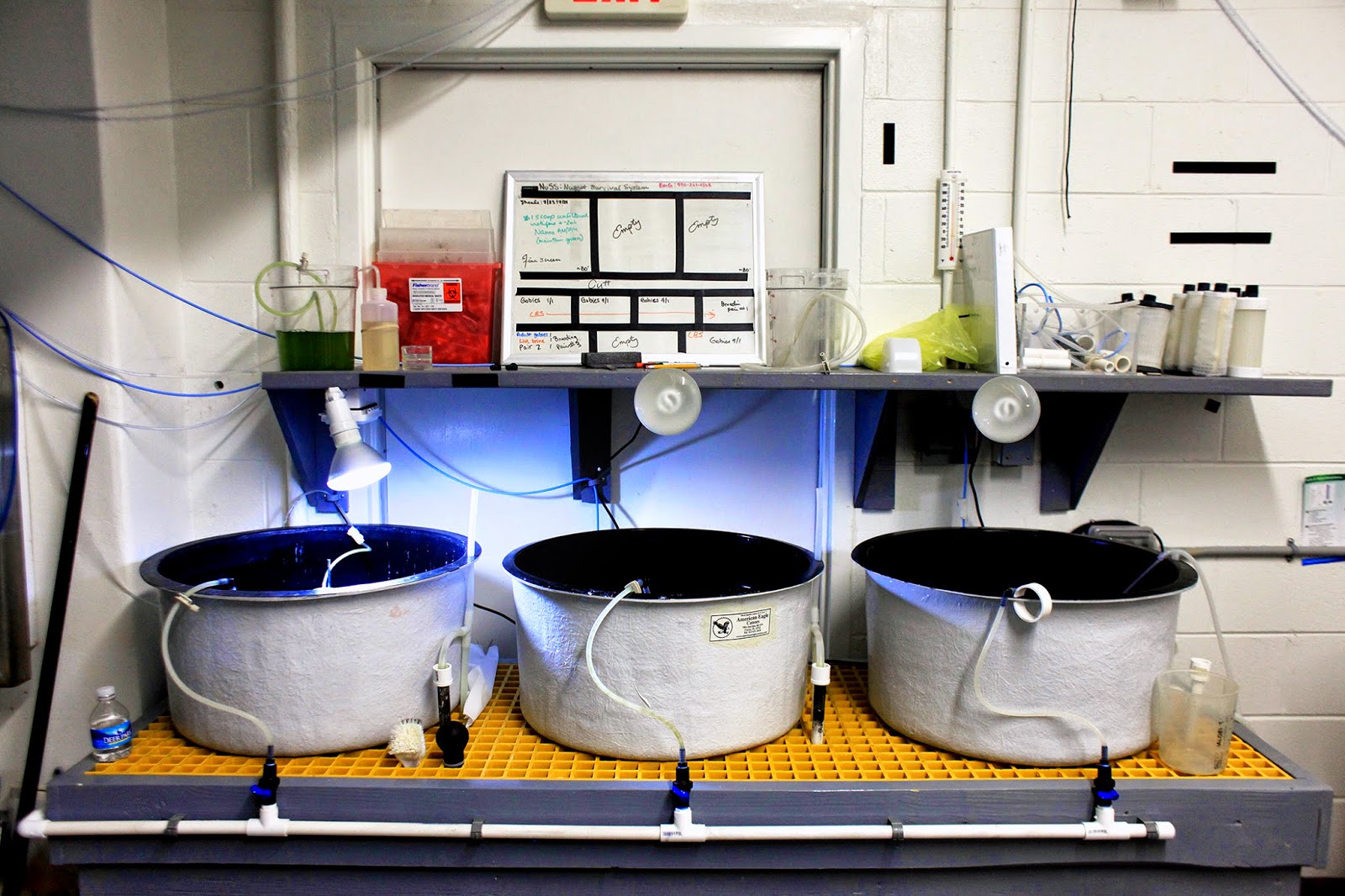 Water Logged: Does the Aquarium Raise Fish?