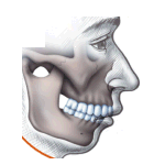 Ortodoncia Basada en Evidencias