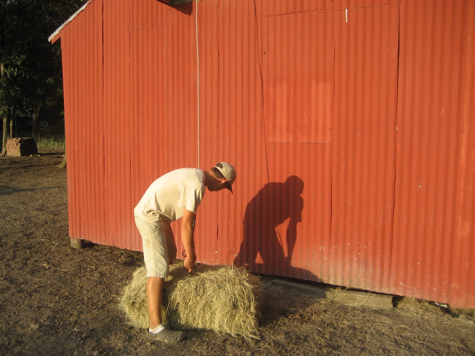 Our Maker's Acres Family Farm: The Hay is in the Barn