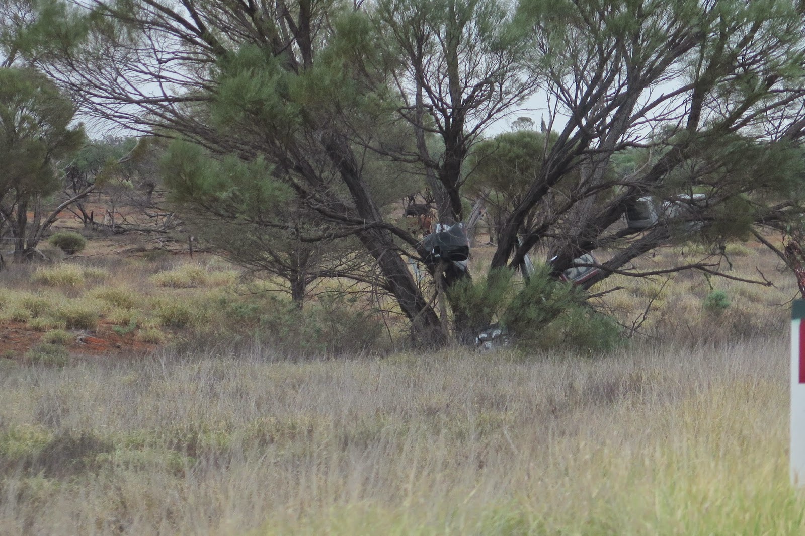 It's what i do: Outback Adventure -Part 1