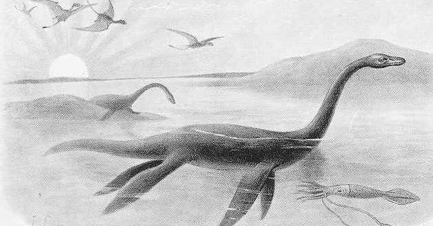 Paranormal Searchers: ‘Loch Ness Monster’ Skeleton Up For Sale