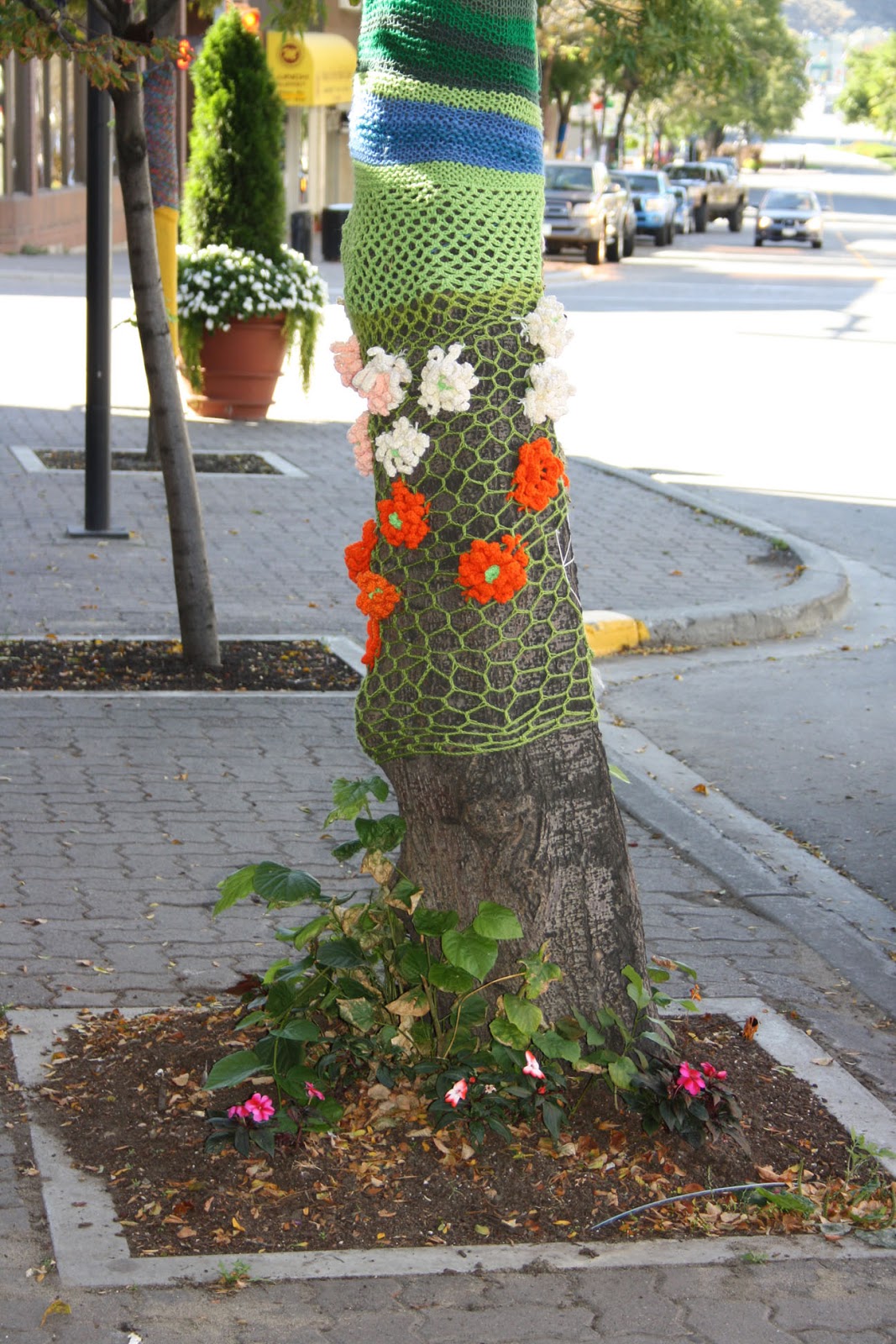 knotsewcute : yarn bombing in the "loops" - 2013