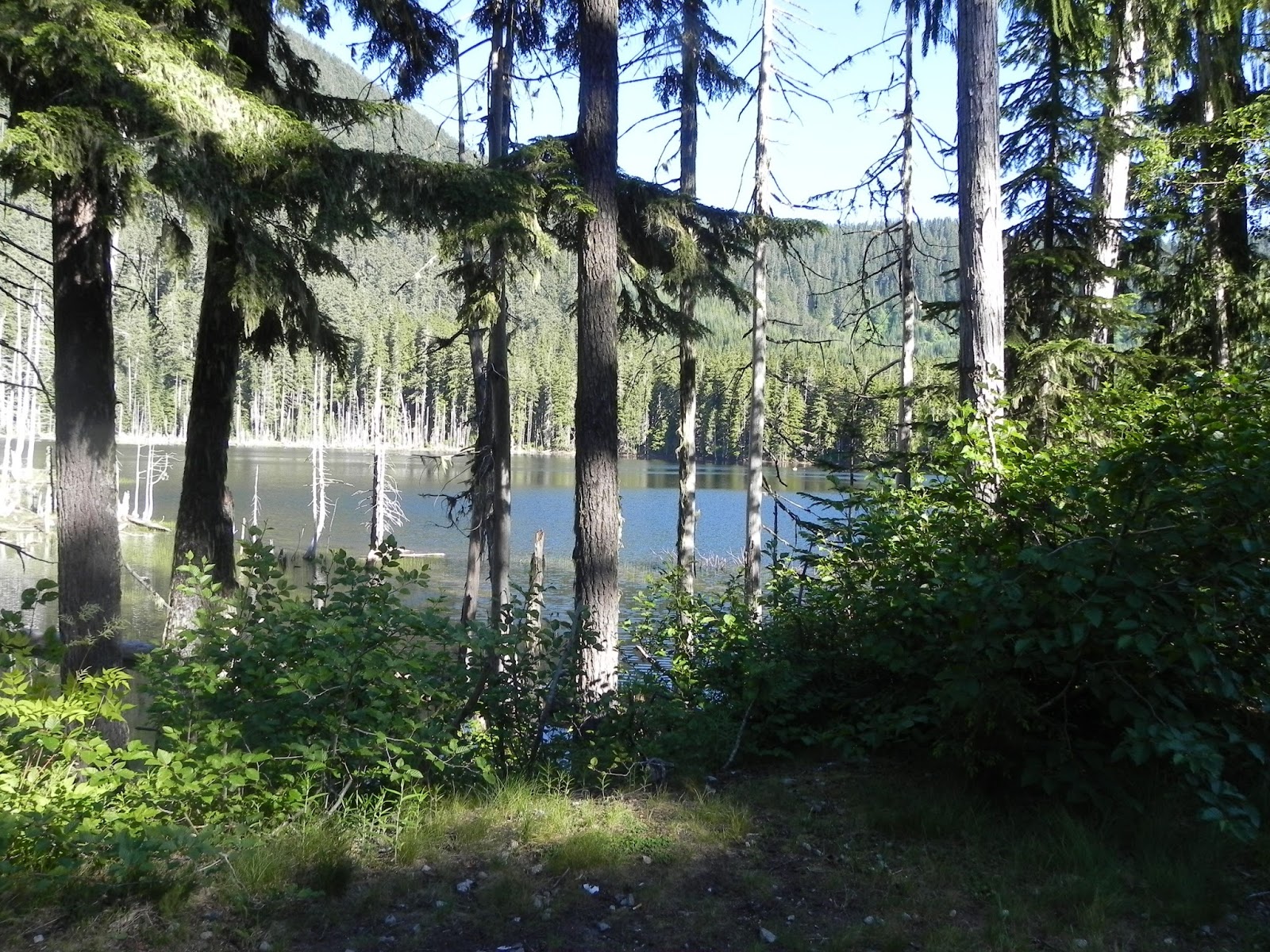 Northwest and Southwest Rockhounding: 2013