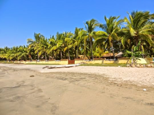 Jim & Carole's Mexico Adventure: The serene, palm-lined beaches of ...