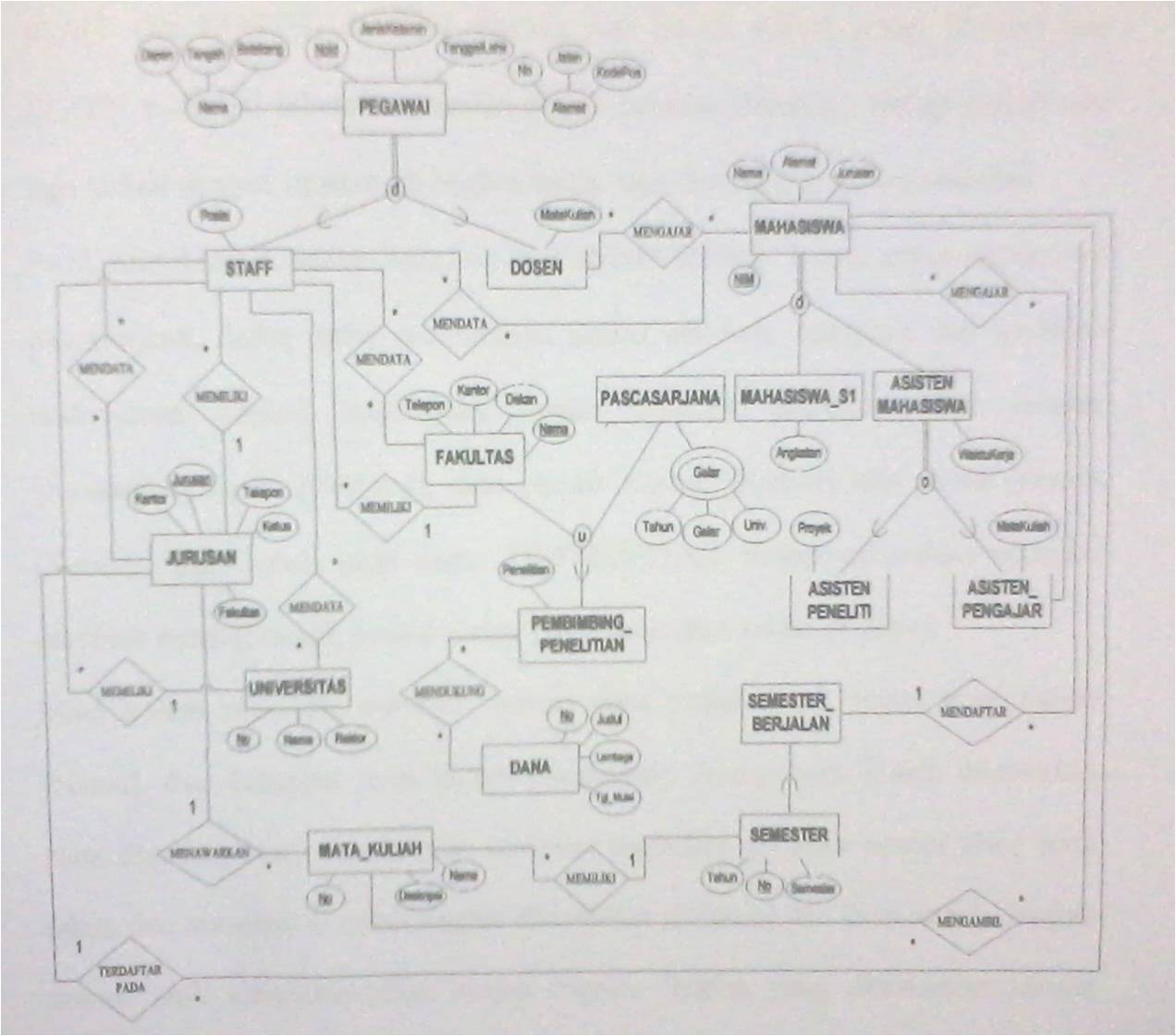 Enhanced Entity Relationship Diagram (EERD) ~ Chrysanthemum Titanium