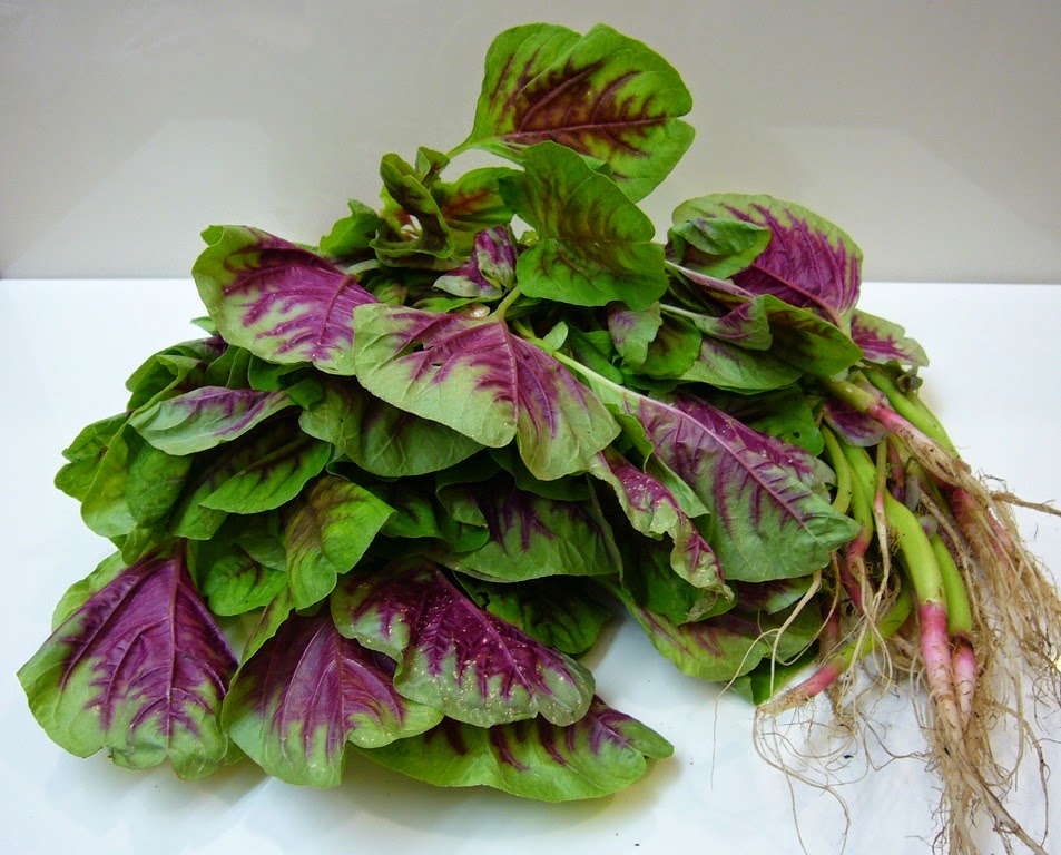 MENCARI KEBAHAGIAAN HIDUP...: Ada Apa Pada Bayam