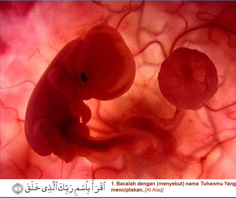 Proses Manusia di Alam Rahim | Aman Iman