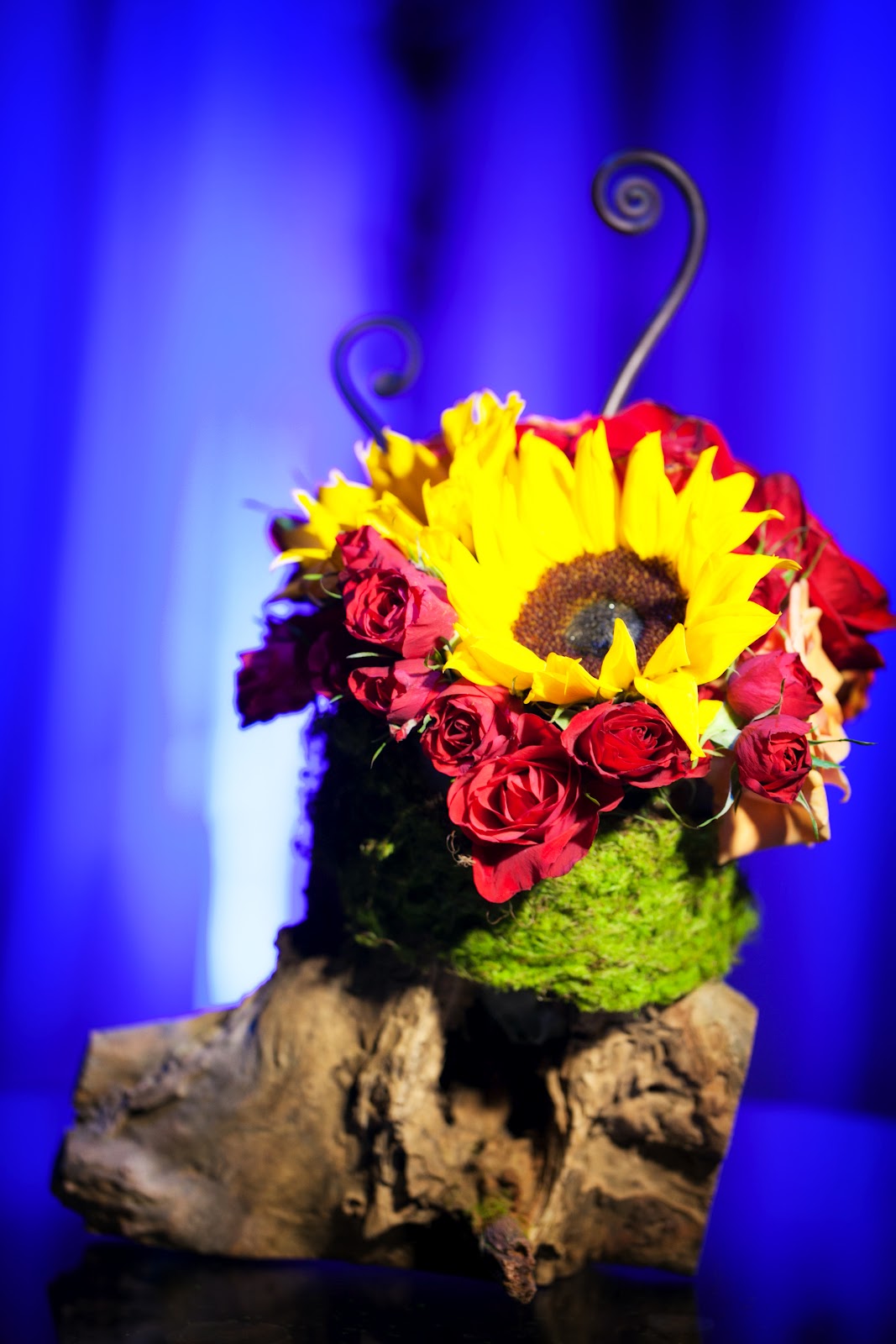 Inspired by our customers and Els . . . - Accent Decor Blog