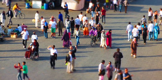 Los Cinco Principios para una Convivencia Sana