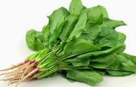 Manfaat Daun Bayam Untuk Kesehatan Tubuh Anda
