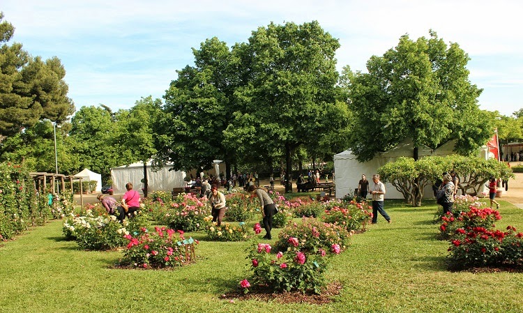 La Rosaleda del Parque de Cervantes | el blog de Ana H