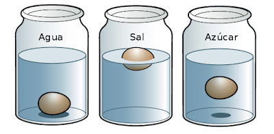 Experimenta la ciencia: ¿Flota o se hunde?