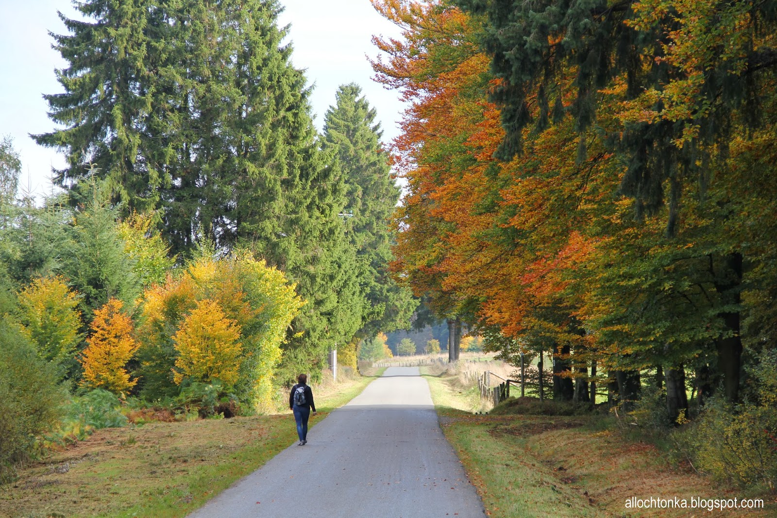 Allochtonka - życie ekspatki w Holandii: Złota jesień w Ardenach