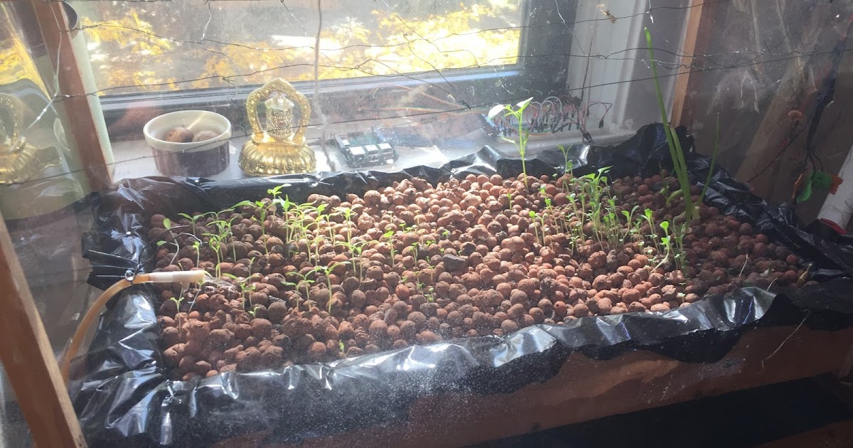 Raspberry Pi Powered Hydroponics: Raspberry Pi Powered Hydroponics ...