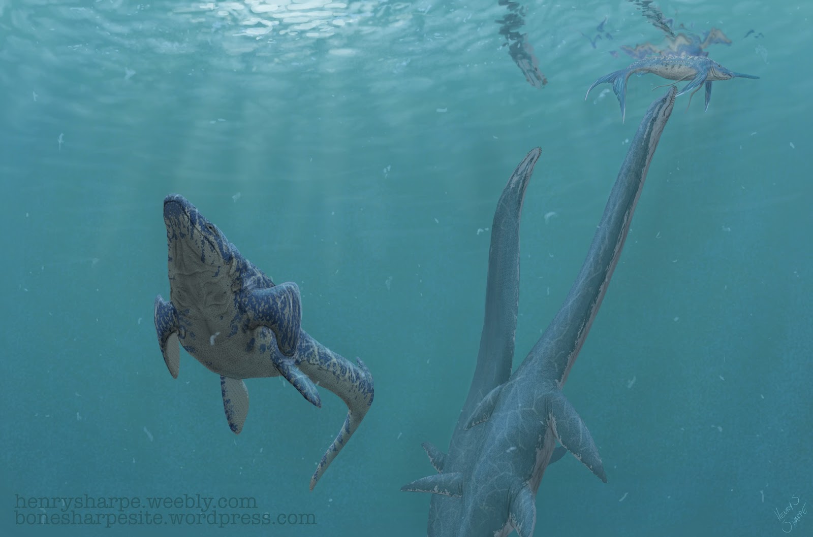 Antediluvian Salad: Plesiosaur Machinations XII: Shape Shifting ...