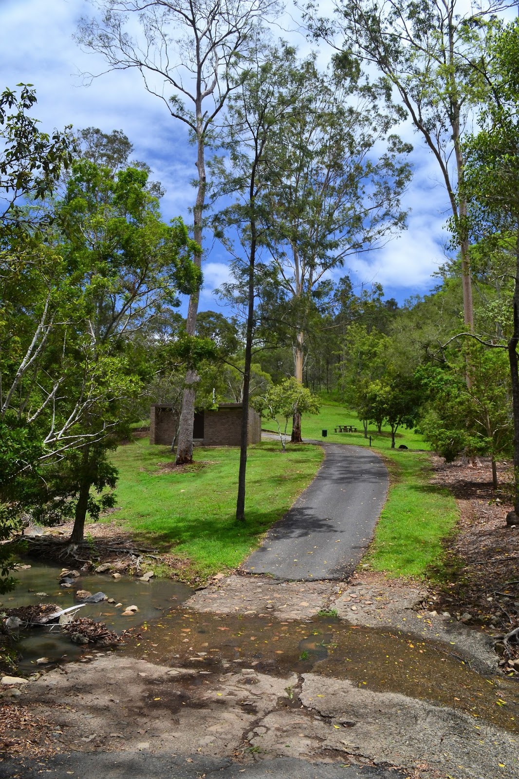 Goin' Feral One Day At A Time: Simpson Falls & Eugenia Circuit ...