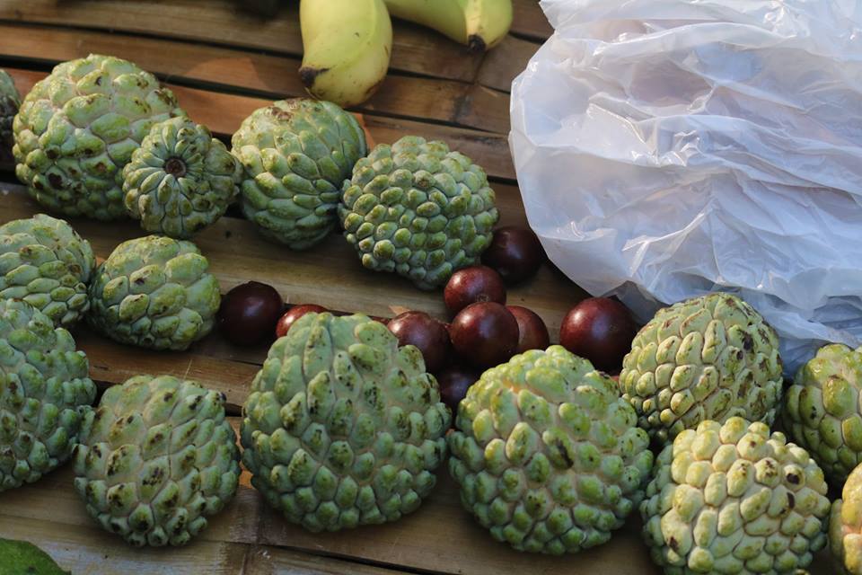 Fruits et légumes des Antilles