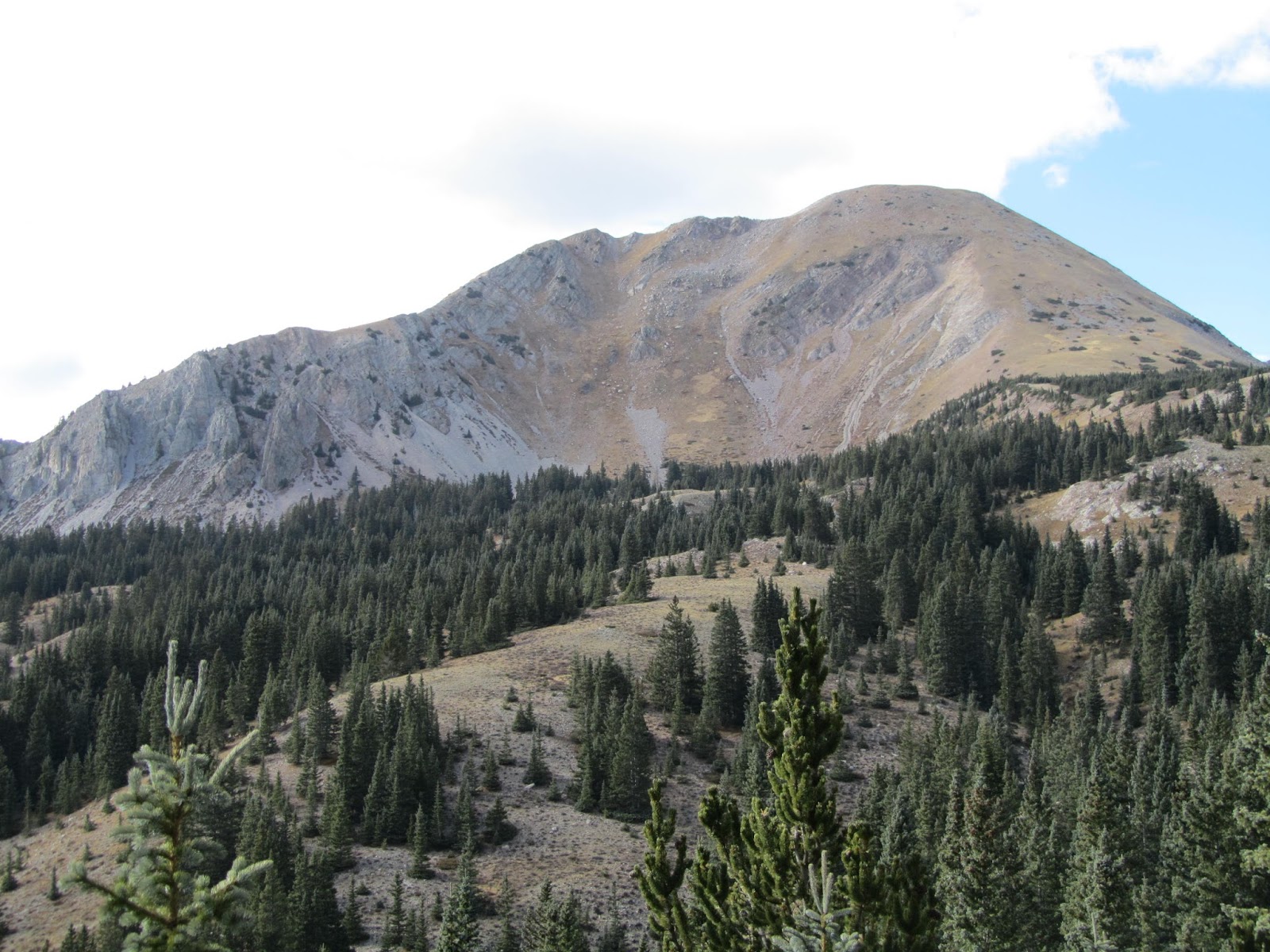 Tomcat's Outdoor Adventures: Backpacking New Mexico's Pecos Wilderness