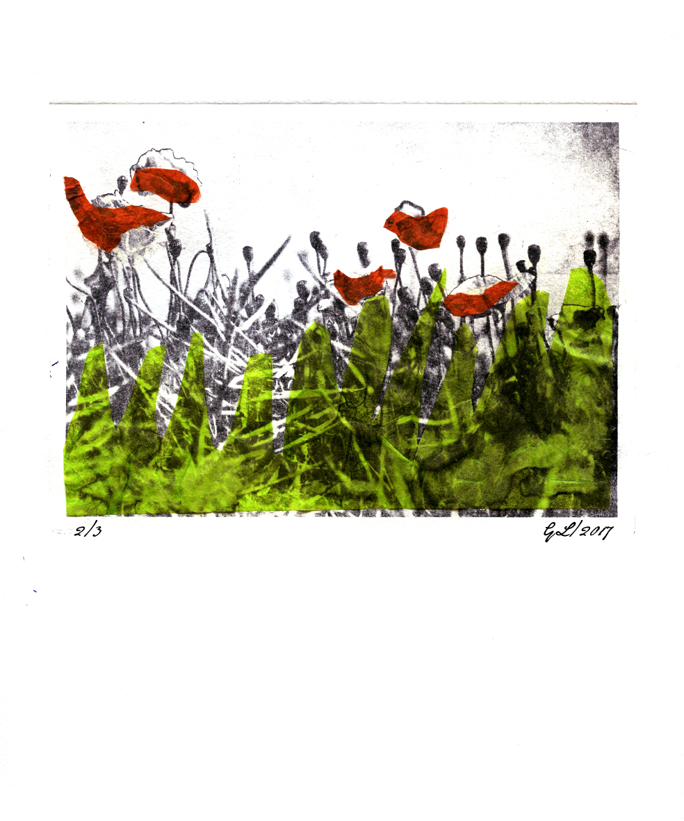 Photopolymer Intaglio: Chine Collé