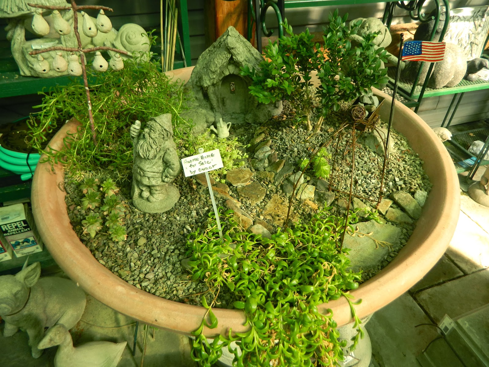 Pam's English Cottage Garden: Miniature Gardening: Part 1