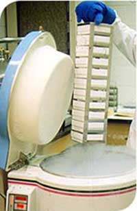 bio_Tecnology: Crioconservación