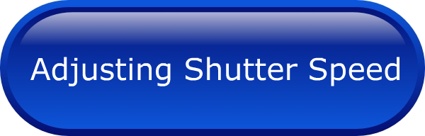 Nikon Newbie: Shutter Speed 101