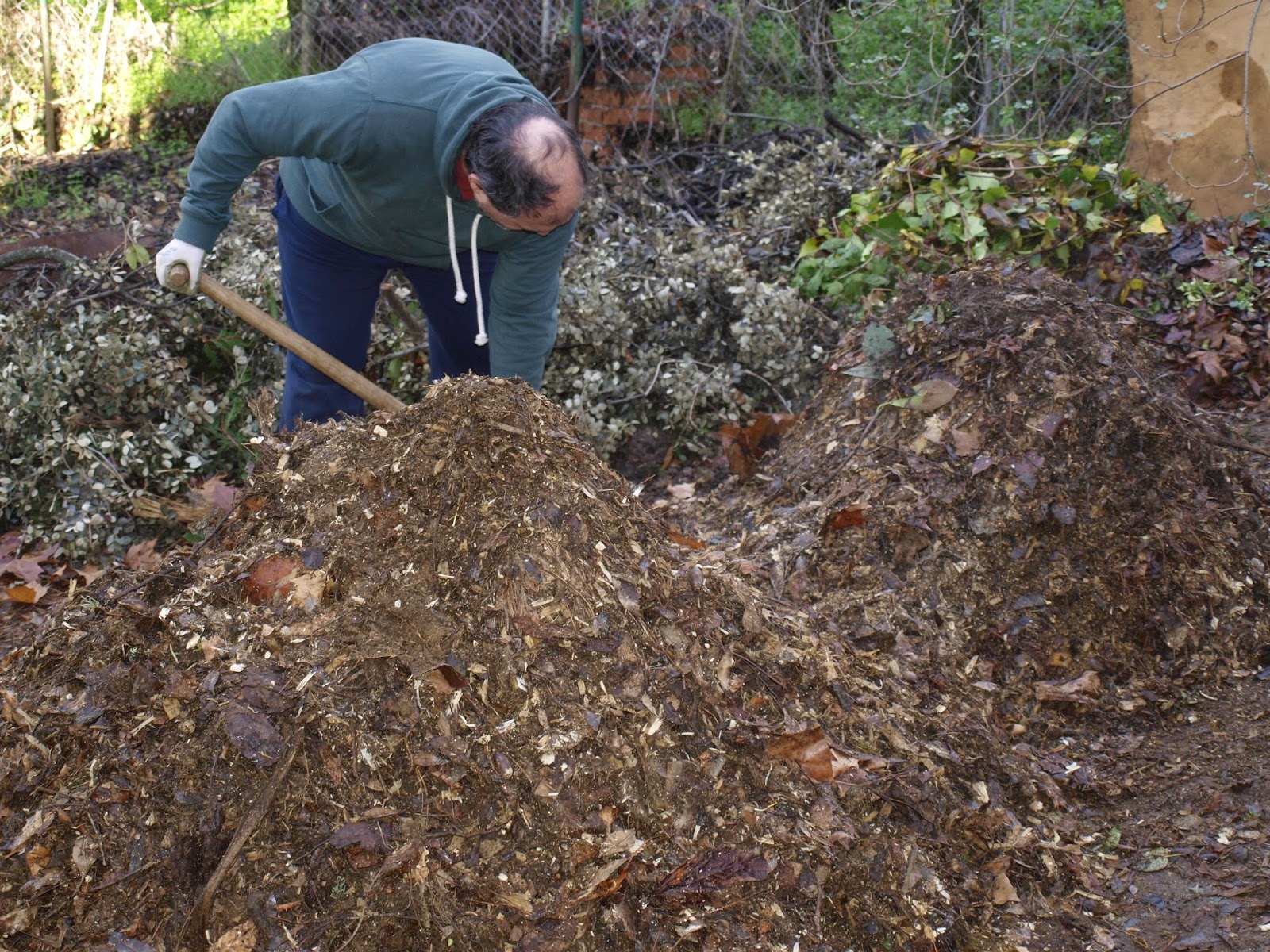 Agronomía sostenible: El método de compostaje rápido. Haz compost en 18 ...