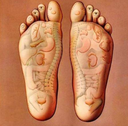 Amazing and Interesting Facts: Sensory touches at the bottom of feet ...