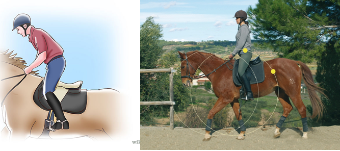 Equitación y Todo Sobre Caballos