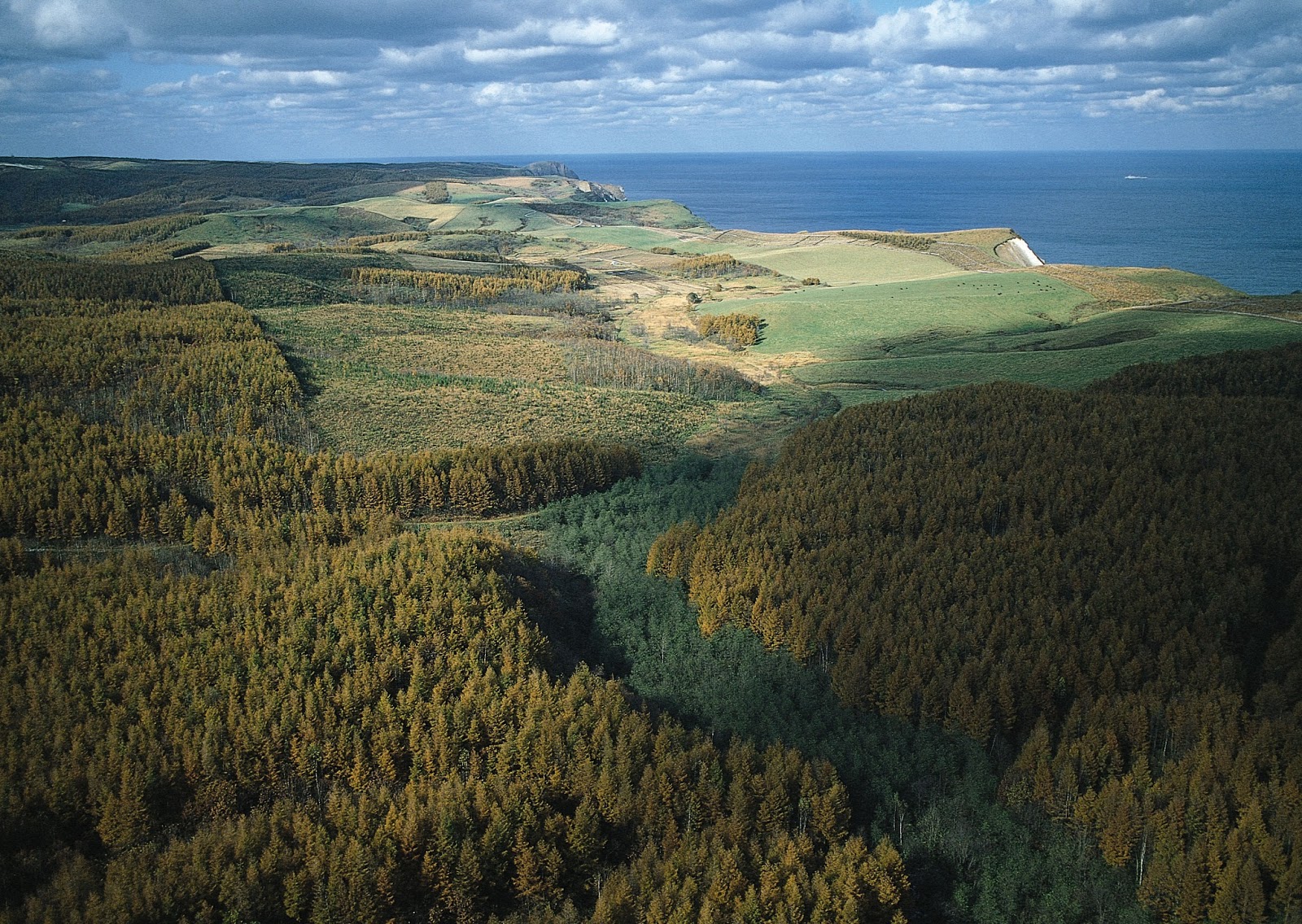 Our Beautiful World: Four season landscape