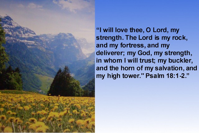 Drops of Joy and Sunshine: He Will Renew Your Strength Day by Day