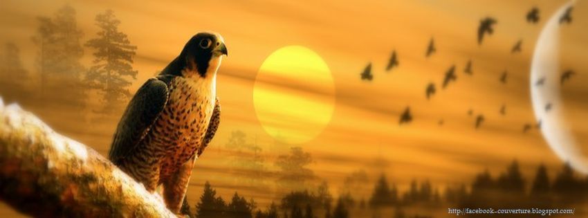 couverture facebook originale ~ Photo et image couverture facebook