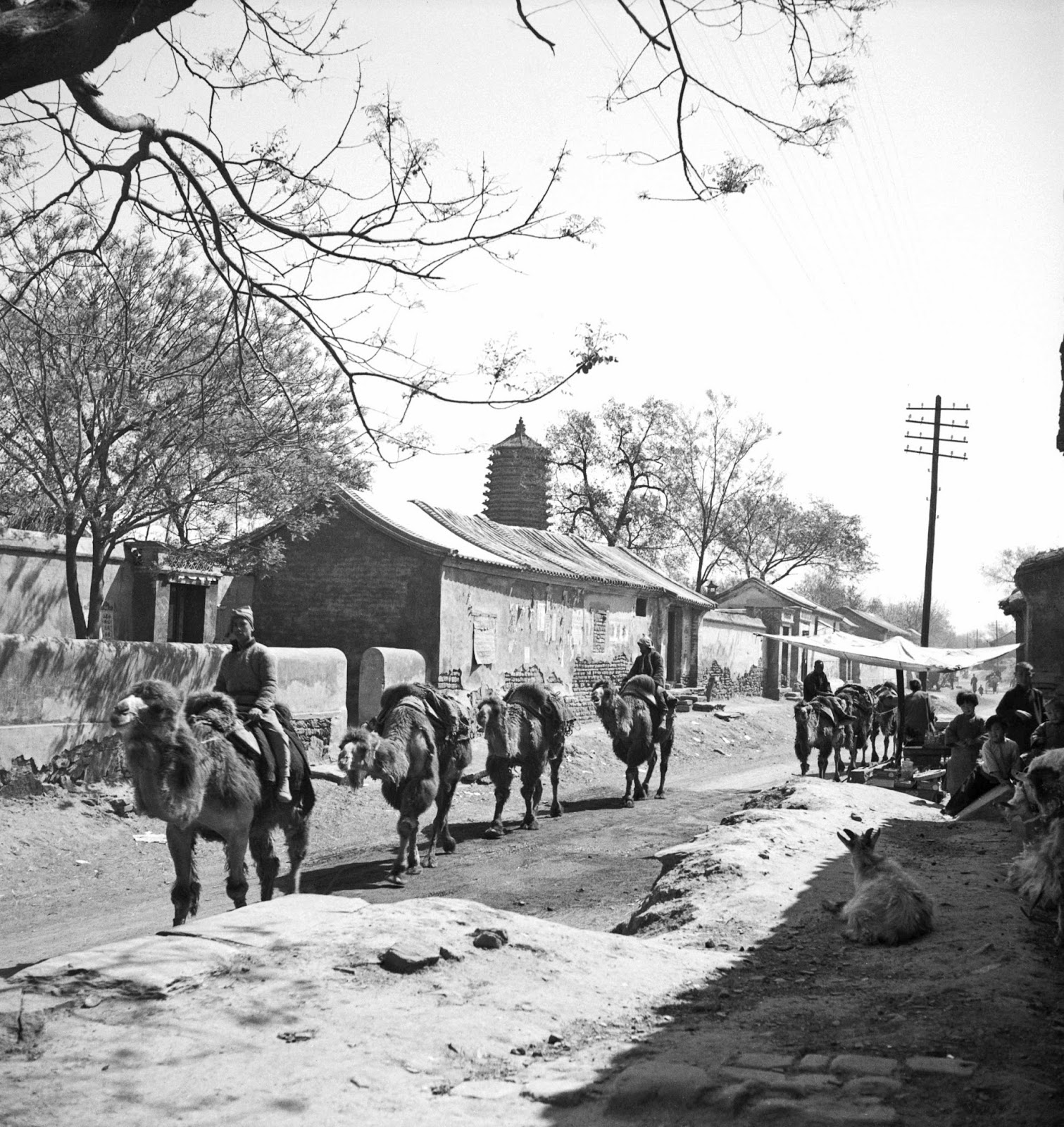 History in Photos: Hedda Morrison