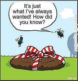 Serendipity English Lab: PRESENT PERFECT