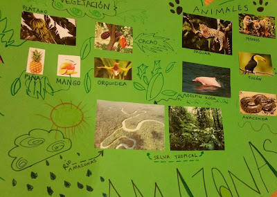 5 años: Descubriendo El Amazonas