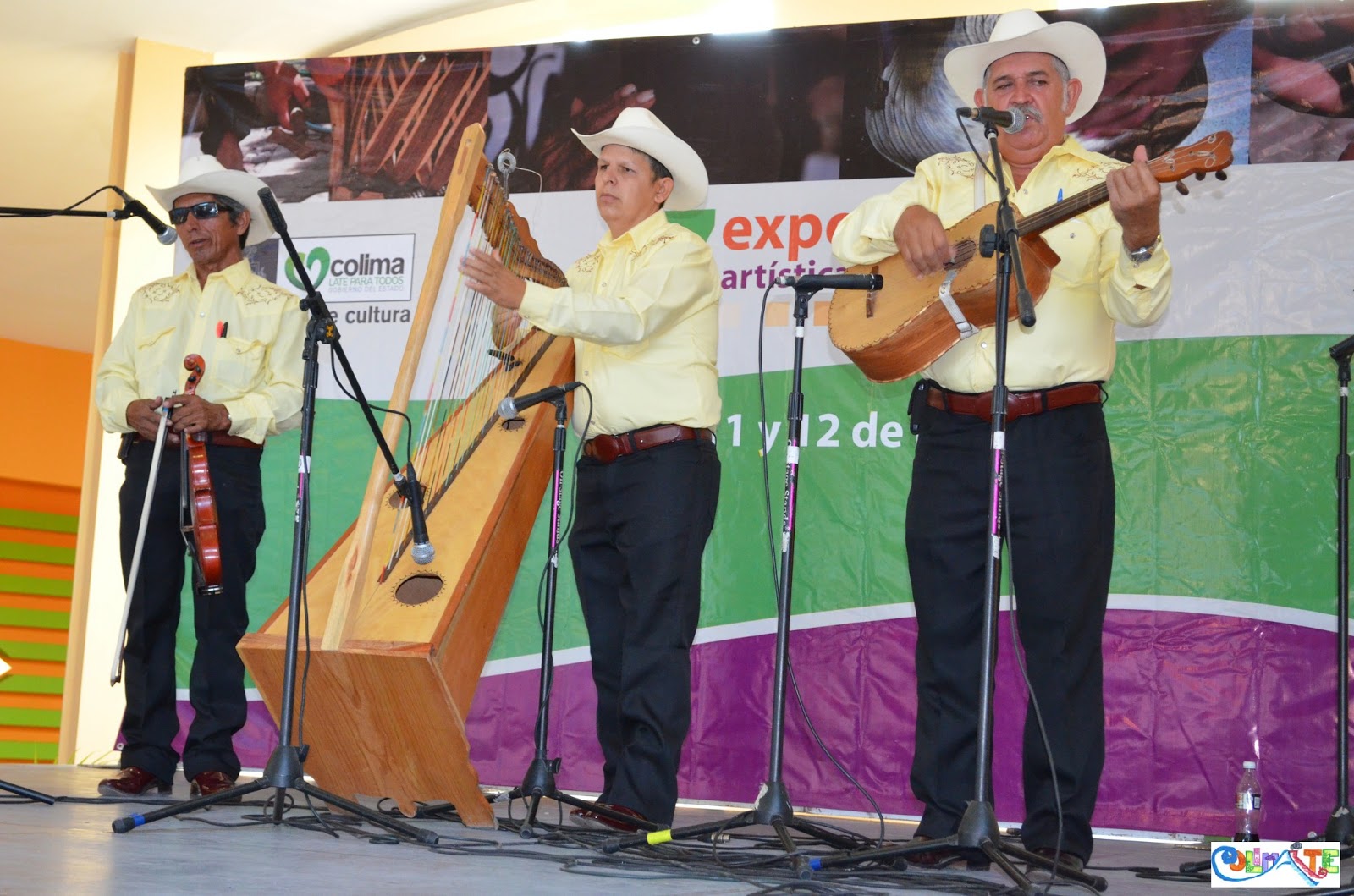 Colimarte: El Mariachi tradicional candidato a Tesoro del Patrimonio ...