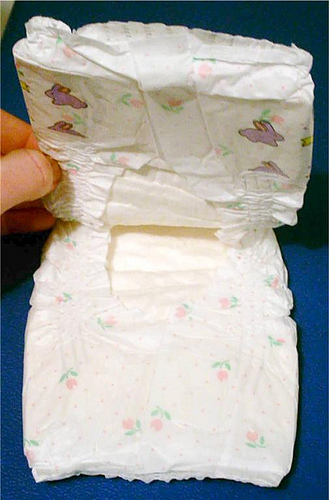 The Diaper Service: Plan A The Waste-to-energy plant (Continued-1)