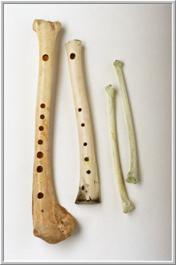 S T R A V A G A N Z A: BONES USED TO MAKE TOOLS, GAMES, JEWELRY, MUSIC ETC.