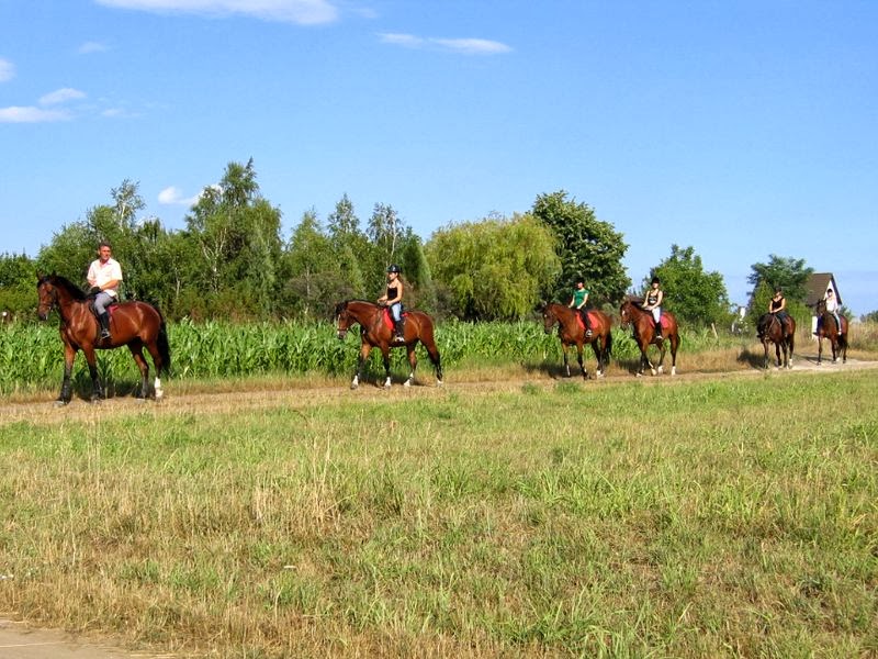 My HORSE RIDING-site: 4. Horse riding / Races