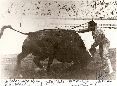 Toro, Torero y Afición: “La muerte del toro en el ruedo”, por Sophie ...