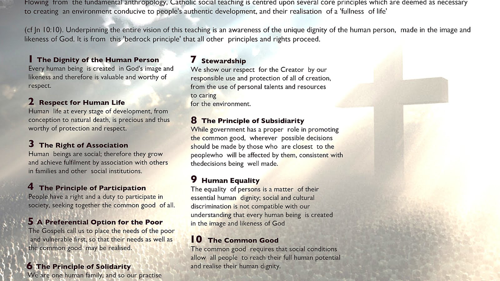 Catholic Social Teaching Themes