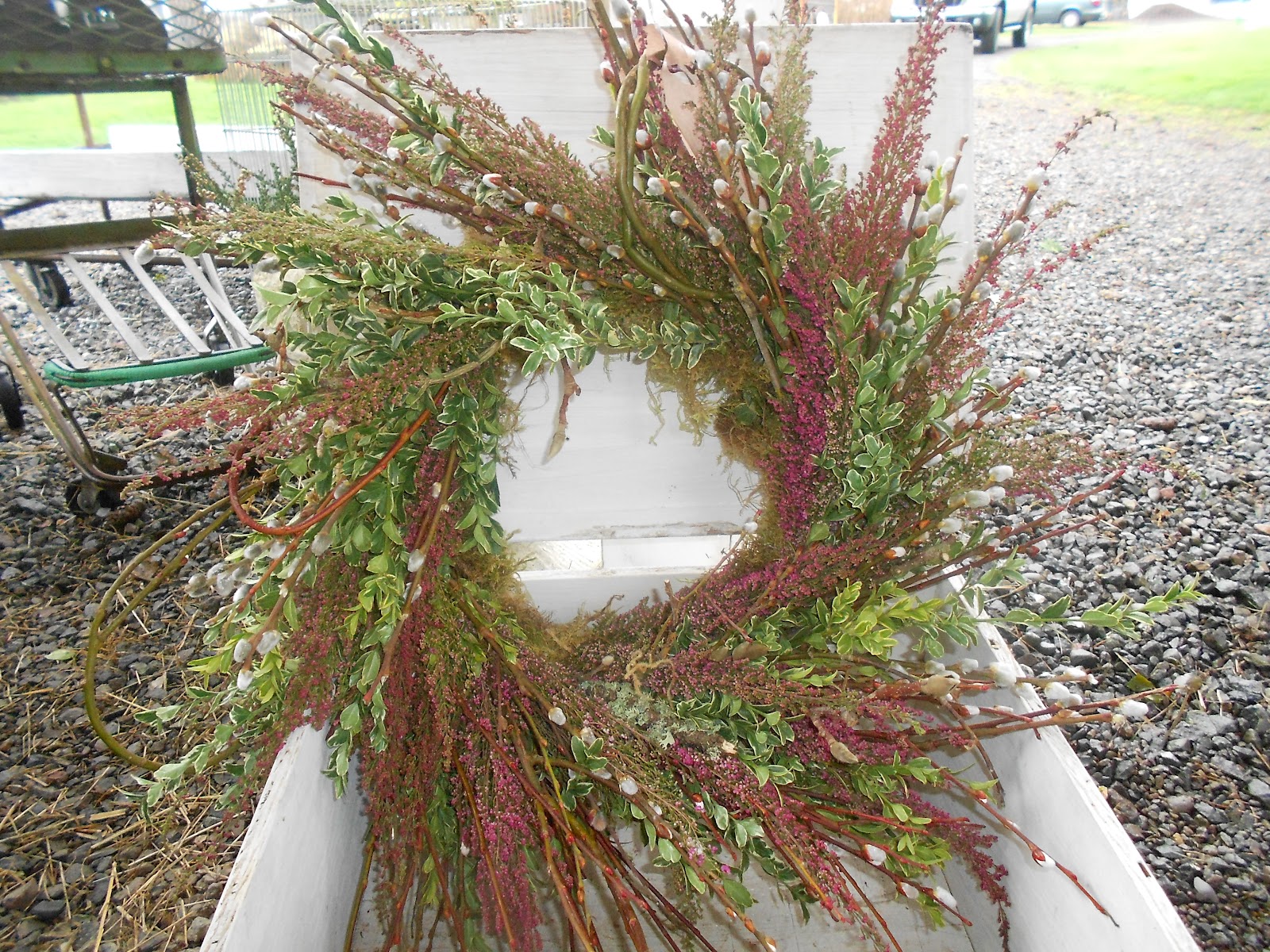 Hello Spring, Are You Out There? - Molly Mo's