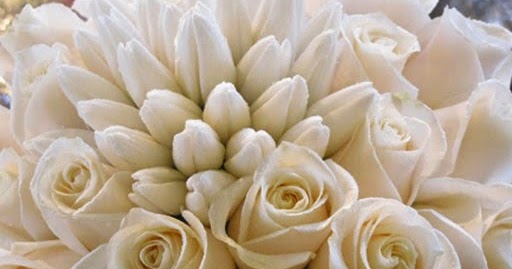 Toko Bunga Jakarta | Florist Online Flowers Shop Indonesia