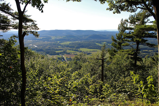 Walking Man 24 7: Folded Rock(Battenkill State Forest)