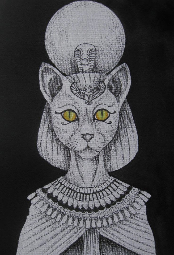 What is the Higher Evolution?. And can it be described without… | by ...