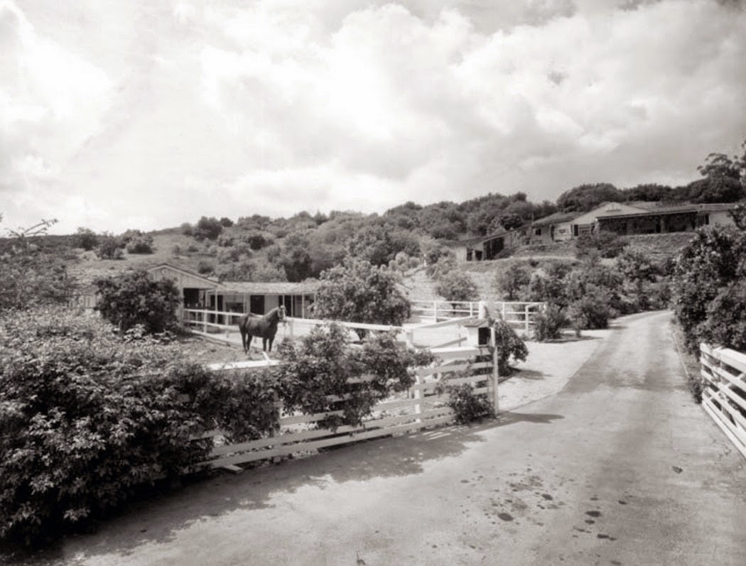 A drifting cowboy: Meetin' Wild Bill On His Calabasas Ranch