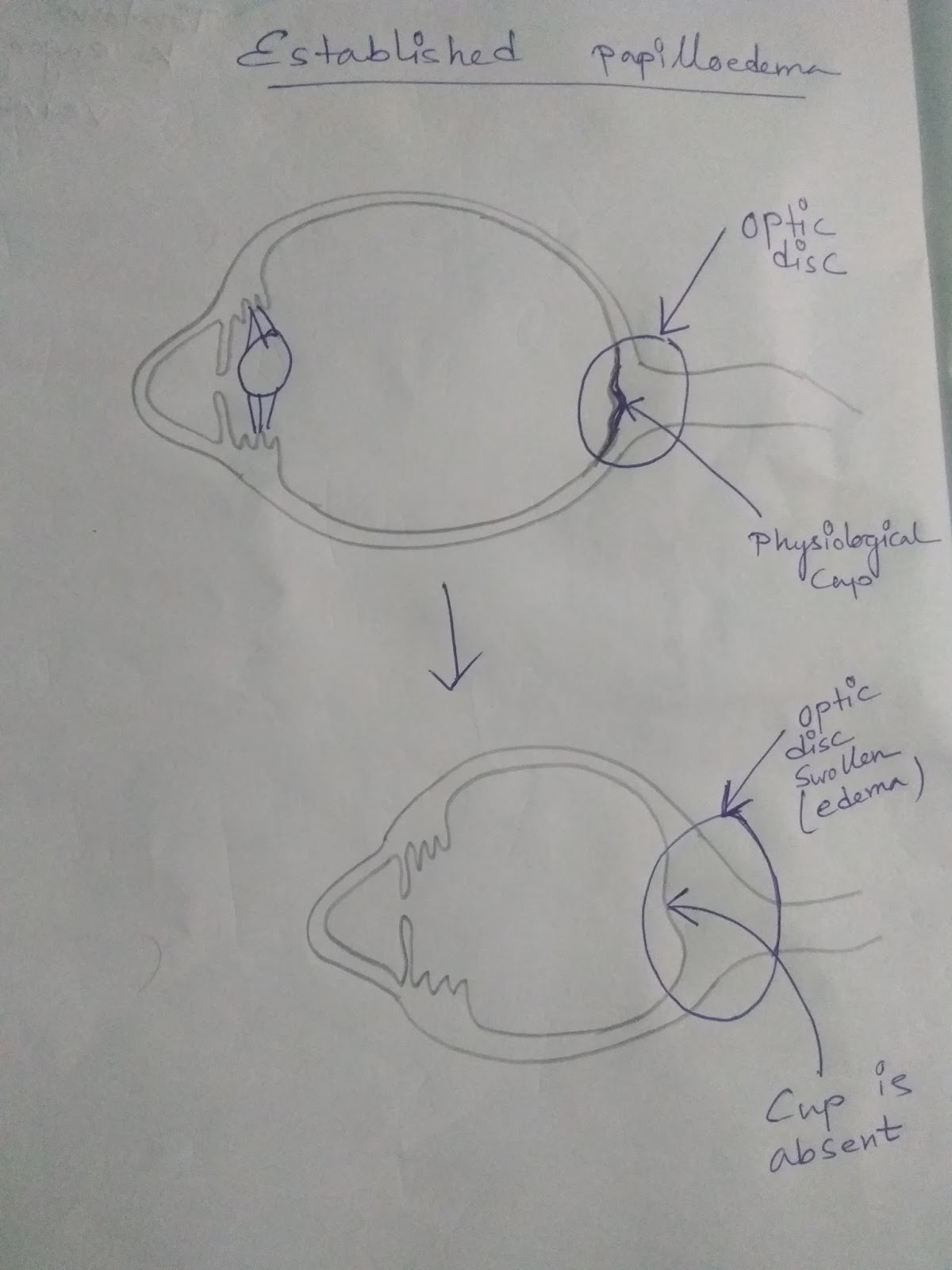 Huge medical mnemonics: 2016